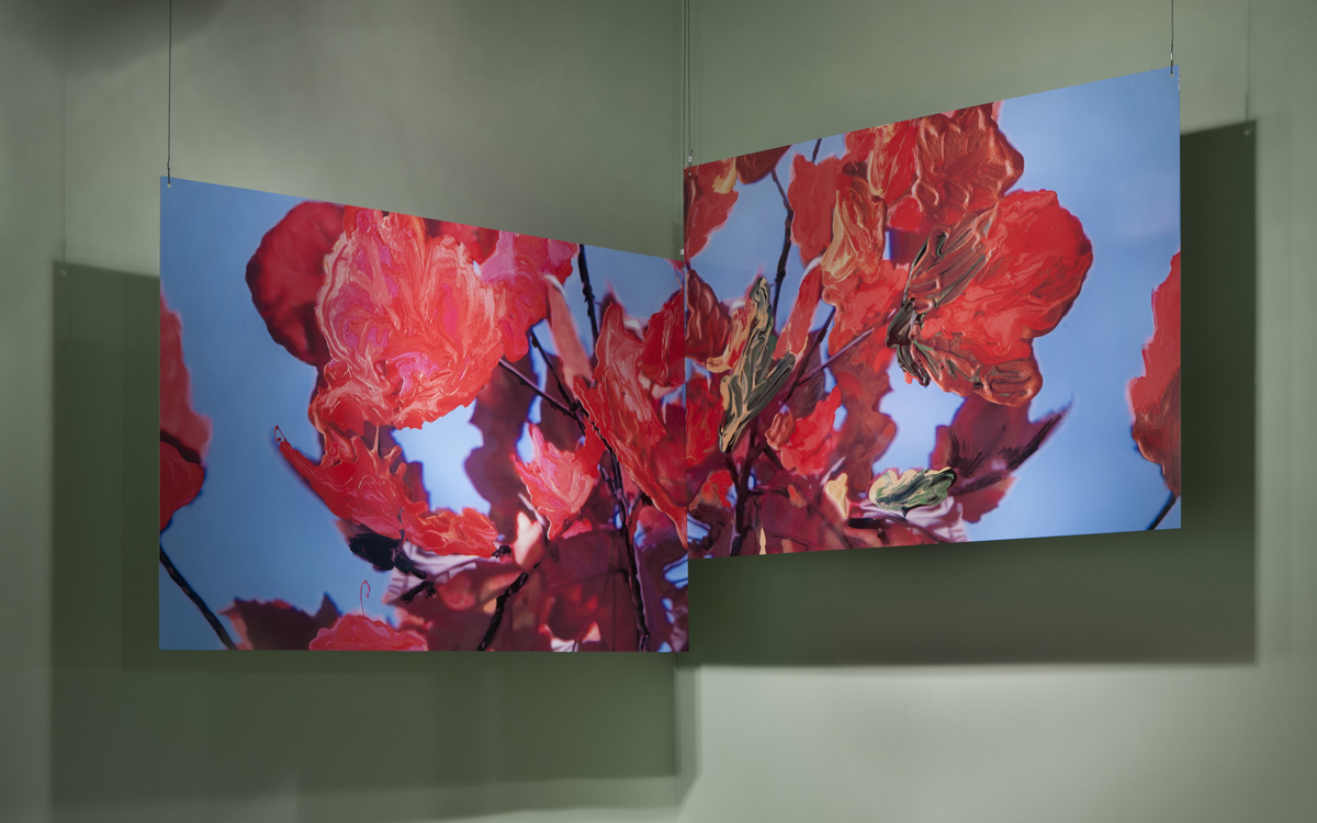 Project – C – Catherine Forster